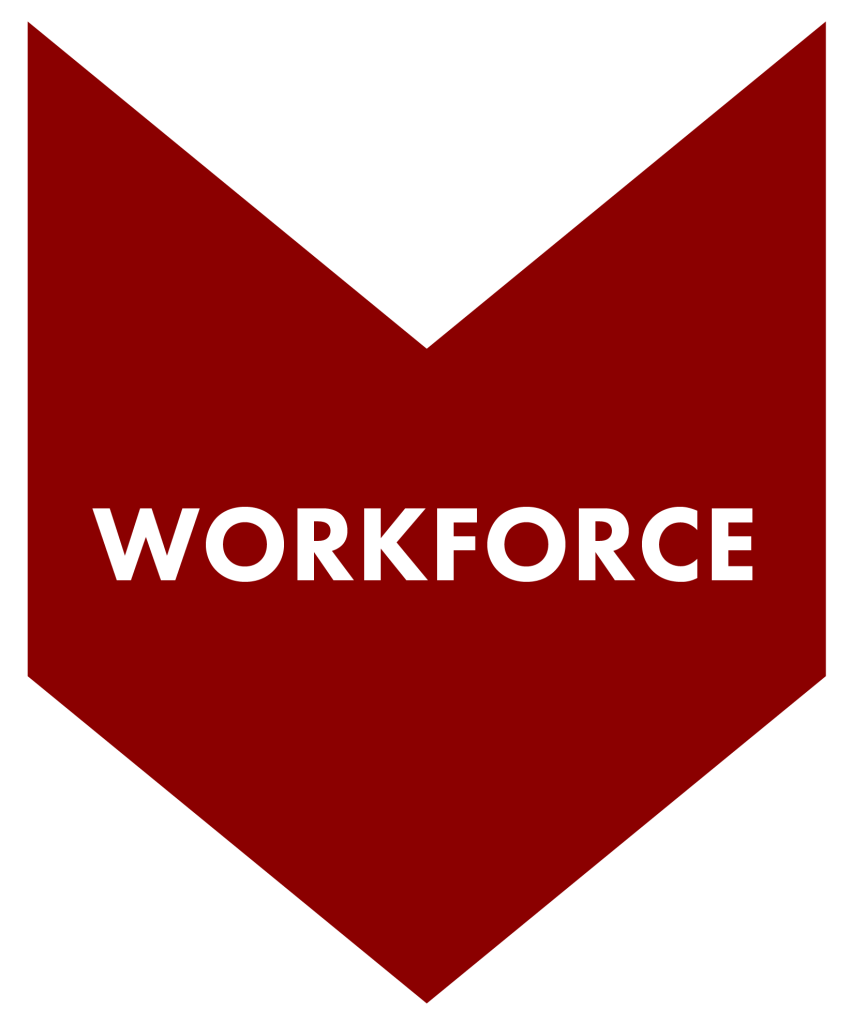 Mental/Behavioral Health Report - WorkForce Central